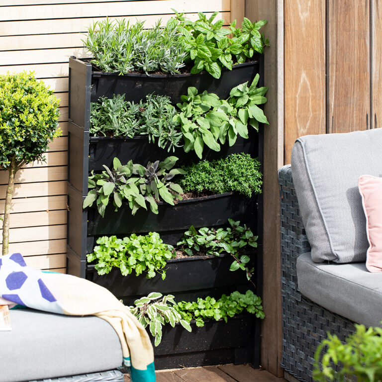 Biophilic Design: How Plants Transform Your Space - Hills Plants
